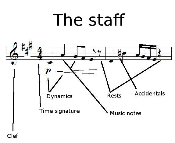 The staff (stave) - Music theory